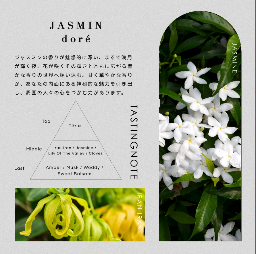 【正規販売店】LOA the oil ロア ザ オイル ブランシュ / シトラスベール / ジャスミンドレ 100ml │ ビューティーパーク ...